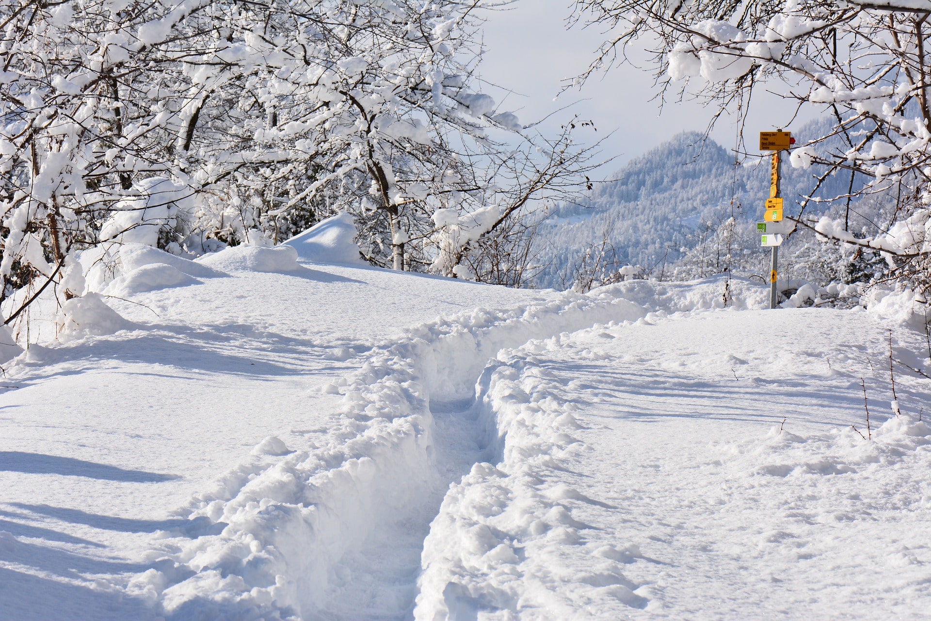 Winterwandelen Ardennen: Ontdek de Prachtige Sneeuwlandschappen